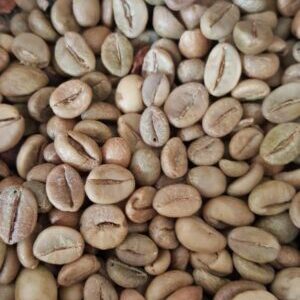 Robusta Coffee Beans Unveiled Bold Flavors and Indonesian Coffee's Rich ...