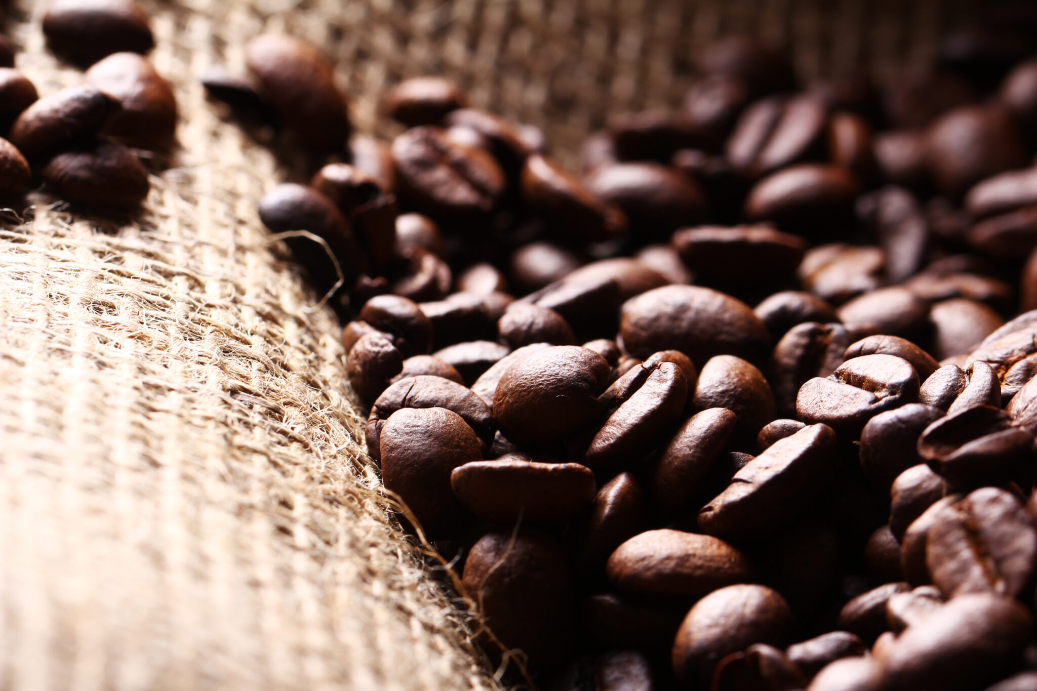 Robusta Coffee Beans Unveiled Bold Flavors and Indonesian Coffee's Rich ...